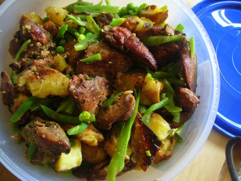 Shiba Inu: The Loyal and Adorable Dog Breed